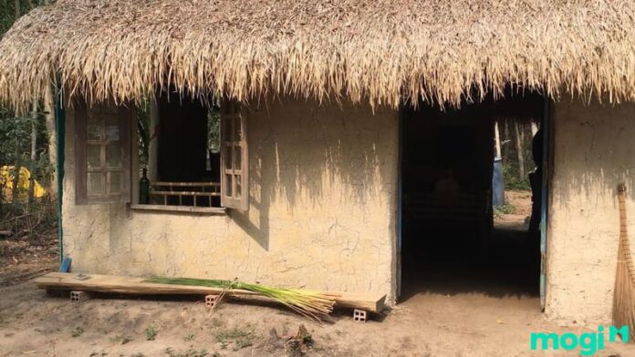 Nhà Tranh Vách Đất: Độc Đáo Nét Kiến Trúc Dân Gian Việt Nam