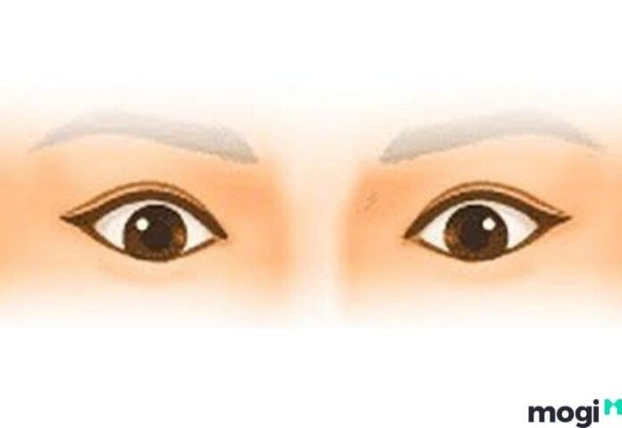 Mắt Tam Bạch Là Gì? Luận Đoán Về Vận Mệnh Và Tướng Số