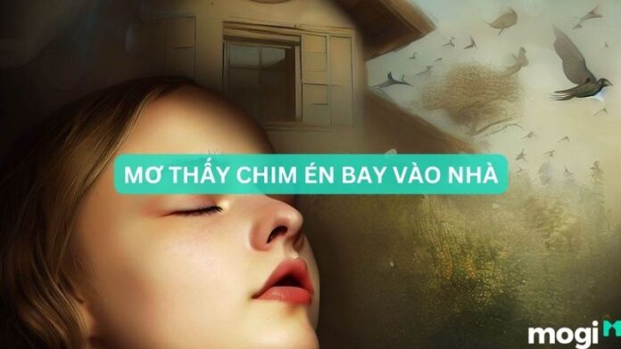 Chim én bay vào nhà là điềm lành hay dữ? Có nên đuổi không?