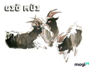 12 Con Giáp Việt Nam: Nguồn Gốc, Ý Nghĩa Các Cặp Con Giáp