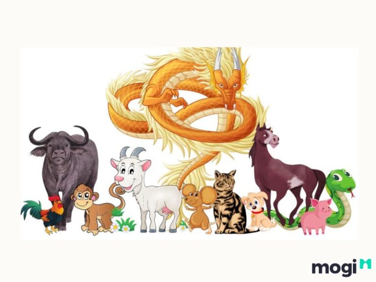 12 Con Giáp Việt Nam: Nguồn Gốc, Ý Nghĩa Các Cặp Con Giáp