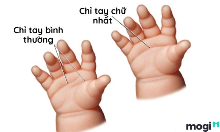 Bàn tay chữ nhất có giàu không? Giải mã chi tiết y nghĩa
