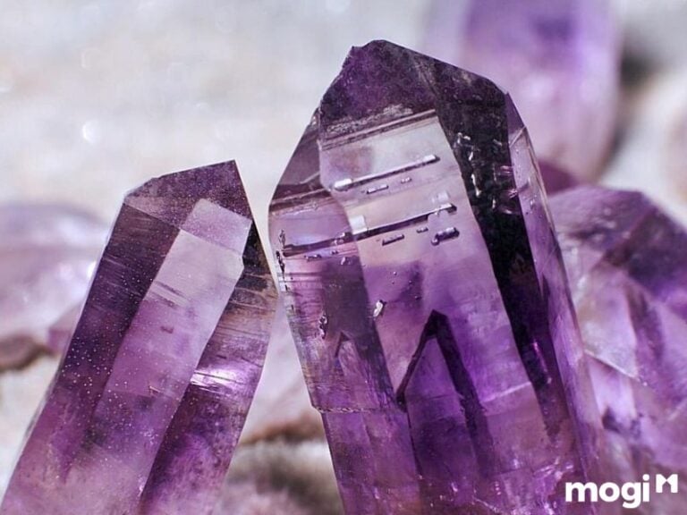 Ý Nghĩa Màu Tím Trong Tình Yêu, Ngôn Ngữ Của Sắc Tím