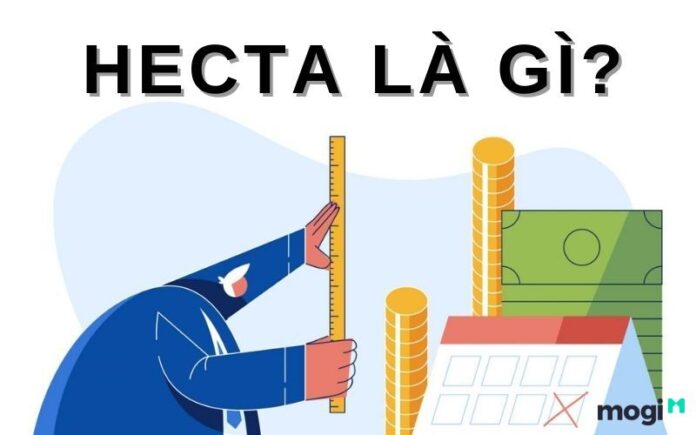 1ha bằng bao nhiêu m2? Mách bạn công cụ quy đổi diện tích