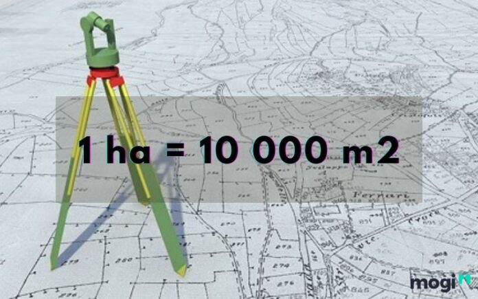 1ha bằng bao nhiêu m2? Mách bạn công cụ quy đổi diện tích