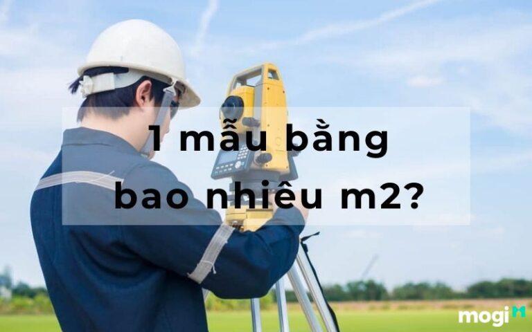 1ha bằng bao nhiêu m2? Mách bạn công cụ quy đổi diện tích