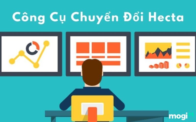 1ha bằng bao nhiêu m2? Mách bạn công cụ quy đổi diện tích