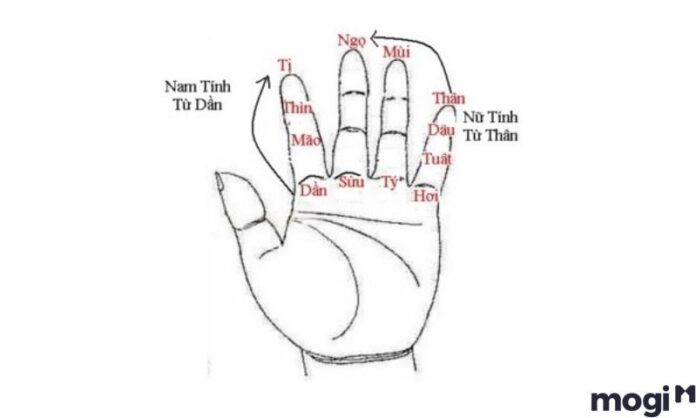Cách Tính Trùng Tang Đơn Giản - Chuẩn Xác Nhất ! | Mogi.vn