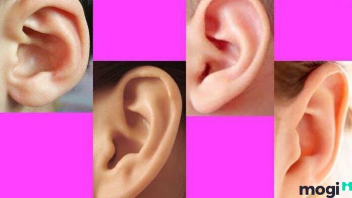 Xem Tướng Tai Nam Và Nữ Chuẩn - Cực Dễ Ai Cũng Xem Được