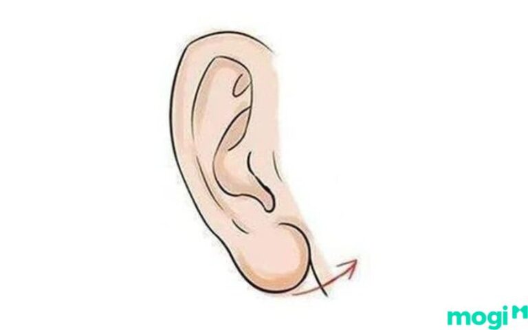 Xem Tướng Tai Nam Và Nữ Chuẩn - Cực Dễ Ai Cũng Xem Được