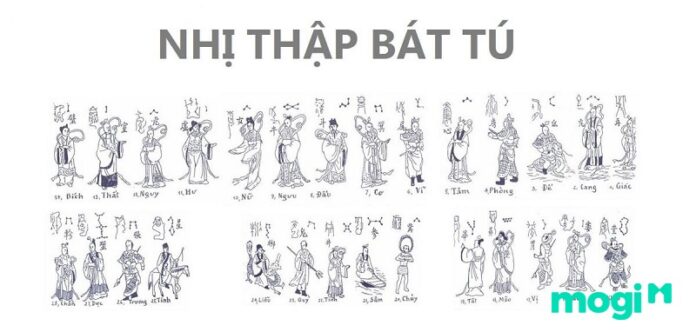 Nhị Thập Bát Tú Là Gì? Ý Nghĩa Của 28 Vì Sao Thập Nhị Bát Tú