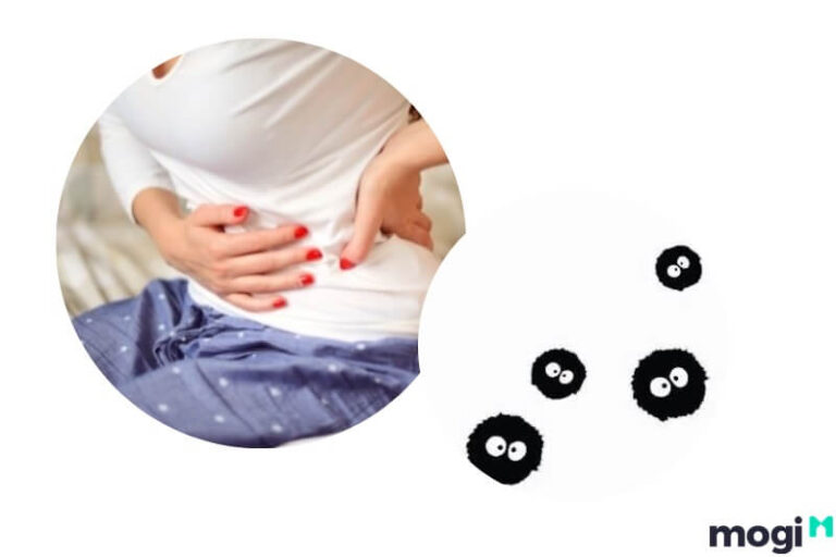 Bồ Hóng Là Gì? Cách Đuổi Bồ Hóng Nhanh Và Dứt Điểm Tại Nhà