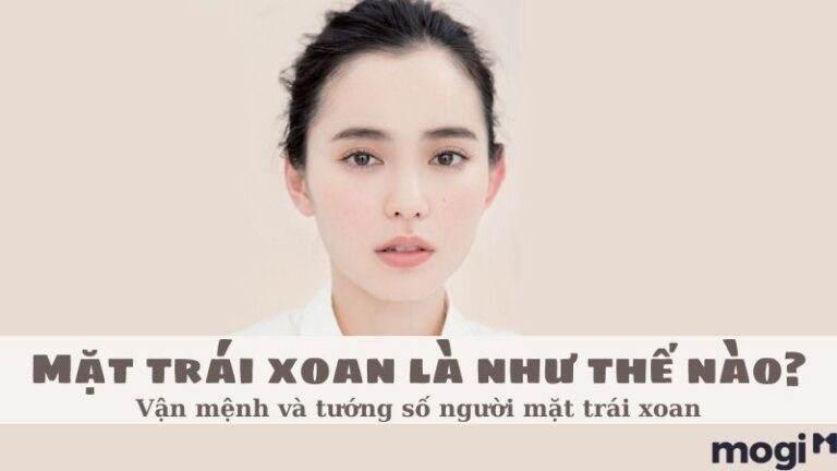 Mặt Trái Xoan Là Gì? Cách Nhận Biết Và Vận Mệnh, Tướng Số