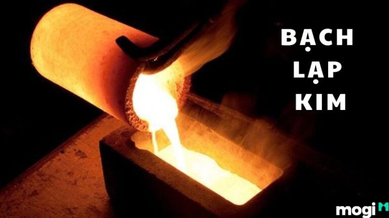 Bạch Lạp Kim Là Gì? Tính Cách, Vận Mệnh, Hợp Mệnh nào?