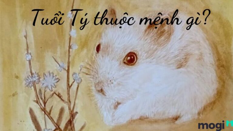 Tuổi Tý Là Con Gì? Năm Sinh & Tam Hợp Tứ Hành Xung Tuổi Tý
