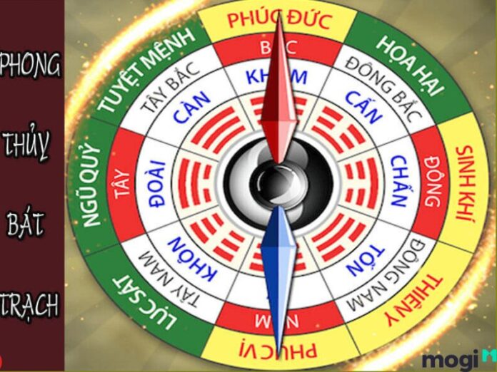 Sơ Đồ Bát Quái: Bí Ẩn Cung Mệnh & Nguồn Năng Lượng Vũ Trụ