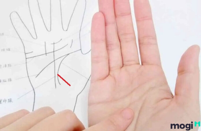 Giải Mã Chỉ Tay Đuôi Cá Từ A-Z Cực Chi Tiết, Chuẩn Xác