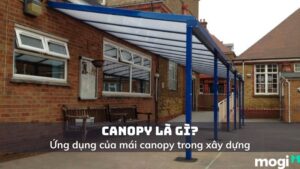 Canopy Là Gì? Ứng Dụng Của Mái Canopy Trong Xây Dựng