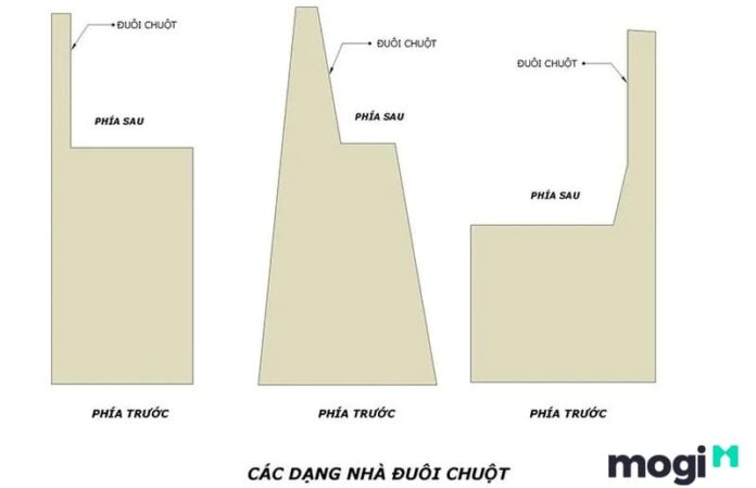 Đất Đầu Voi Đuôi Chuột Là Gì? Có Nên Mua Loại Đất Này Không?